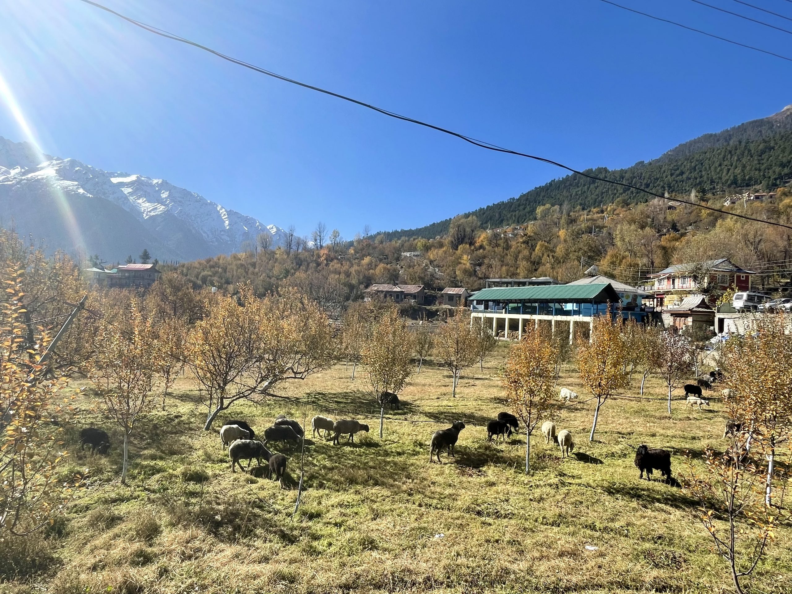 Sangla Valley - How to reach, what to do & tips | Kinnaur, Himachal